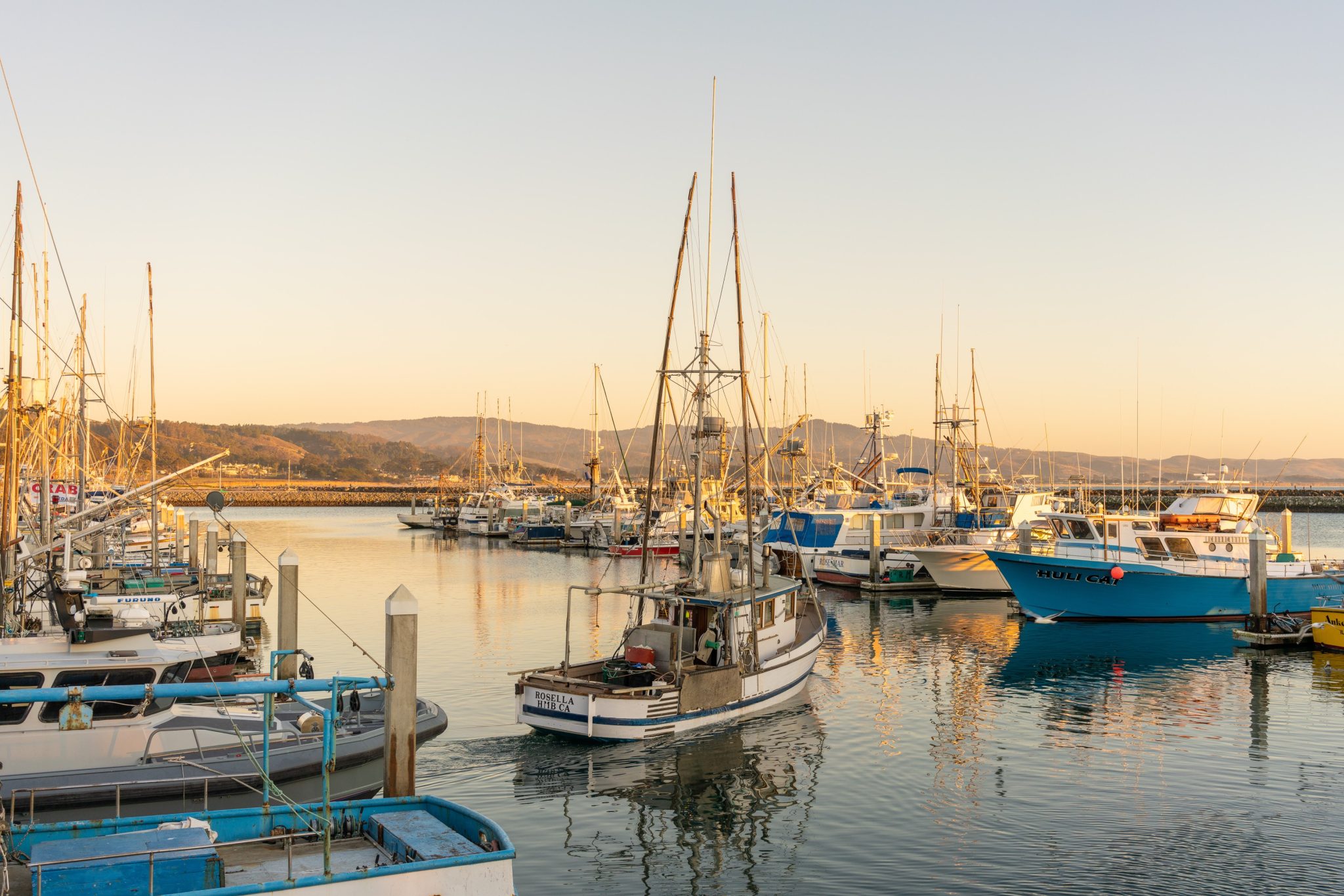 Visit Half Moon Bay
