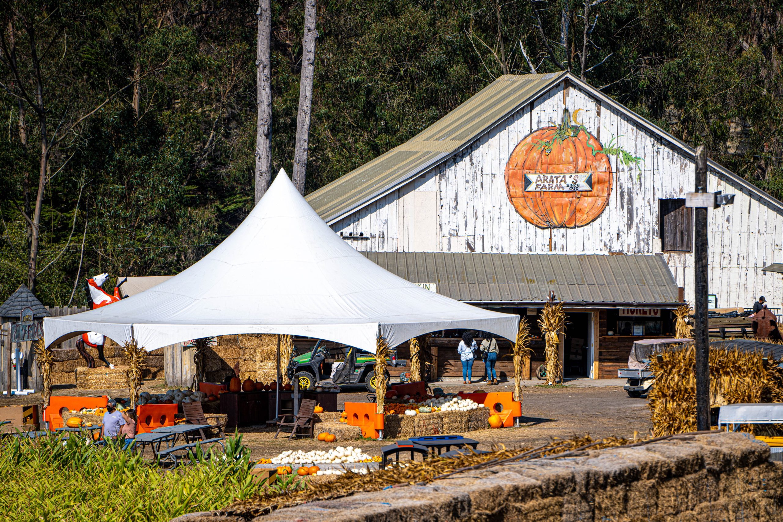 Arata’s Pumpkin Farm - Visit Half Moon Bay