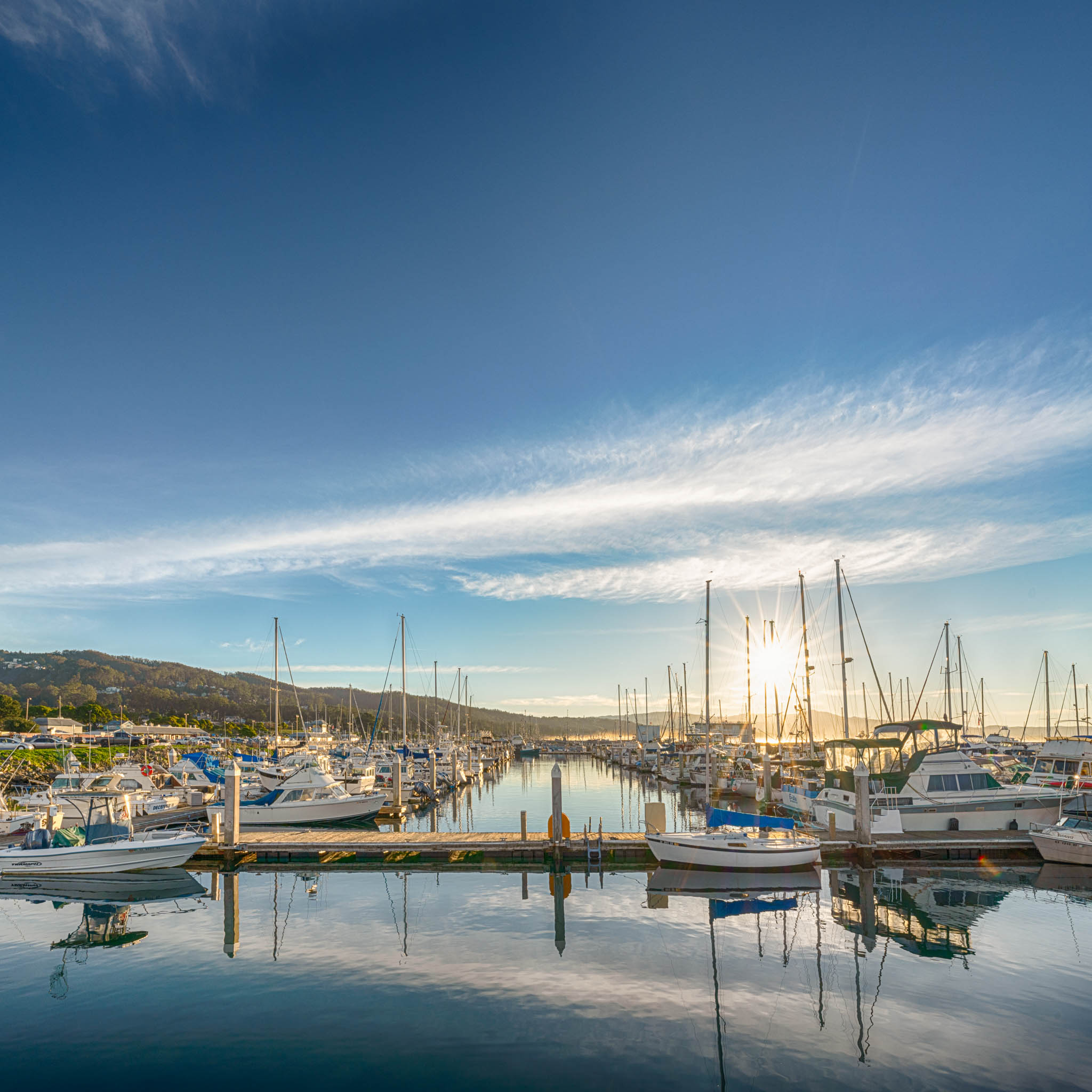 What's New in Half Moon Bay - Visit Half Moon Bay