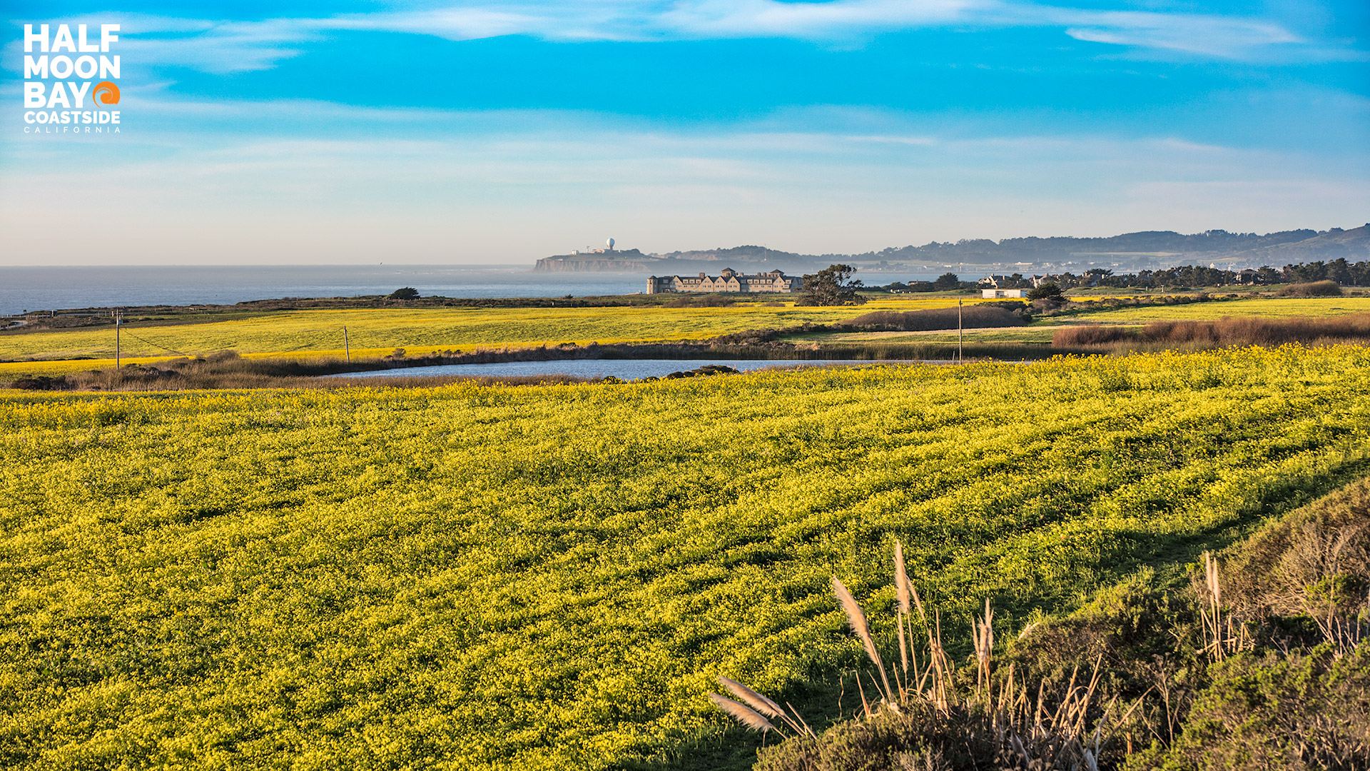 Half Moon Bay Coastside Backgrounds - Visit Half Moon Bay