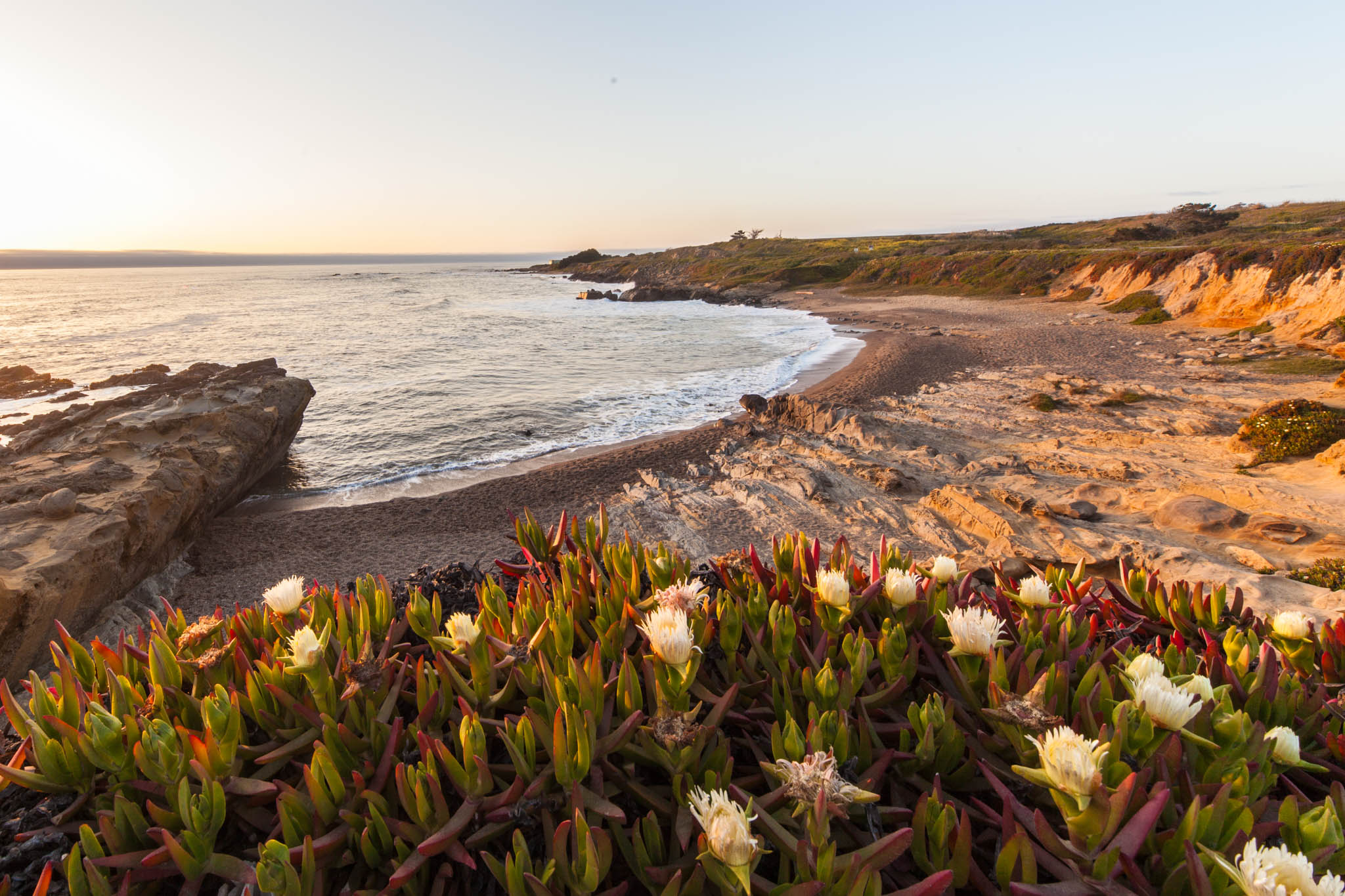 Bean Hollow State Beach - Visit Half Moon Bay