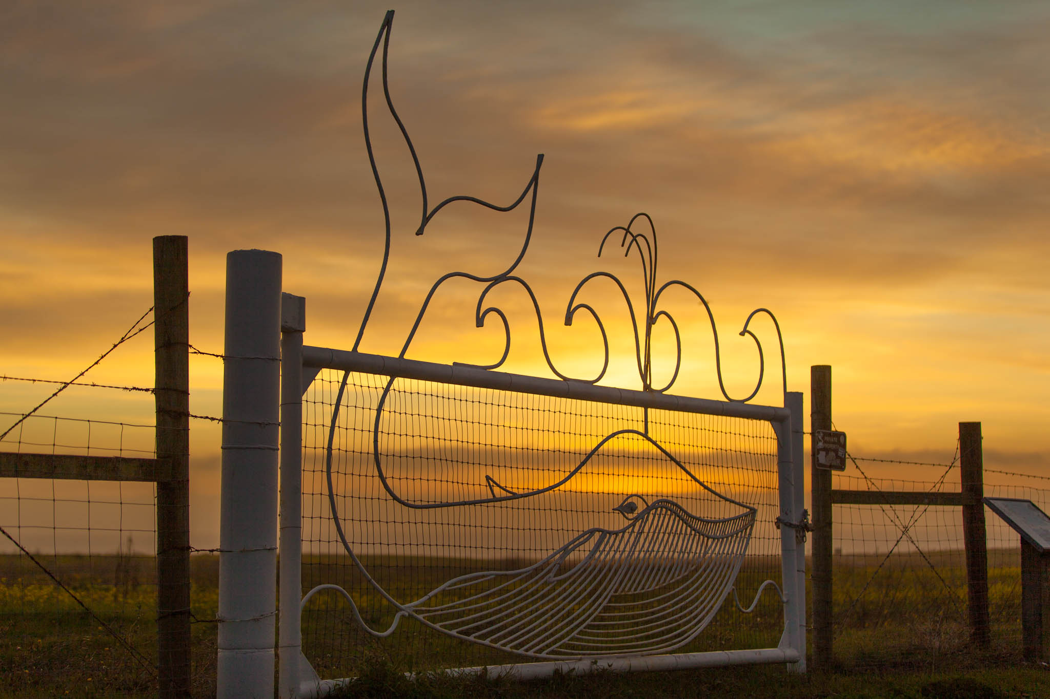 Cowell Ranch State Beach - Visit Half Moon Bay