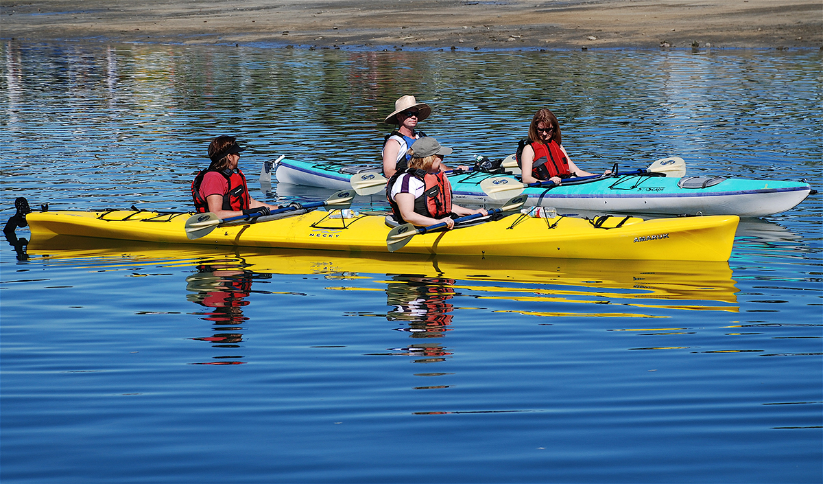 Watery Adventures on the Coastside - Visit Half Moon Bay