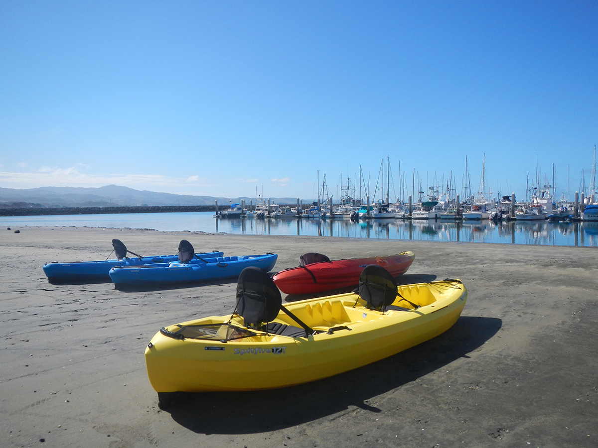 Watery Adventures on the Coastside - Visit Half Moon Bay
