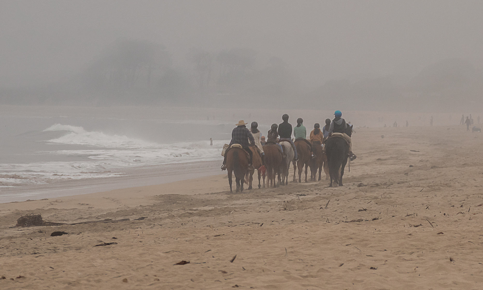 Horseback Riding - Visit Half Moon Bay